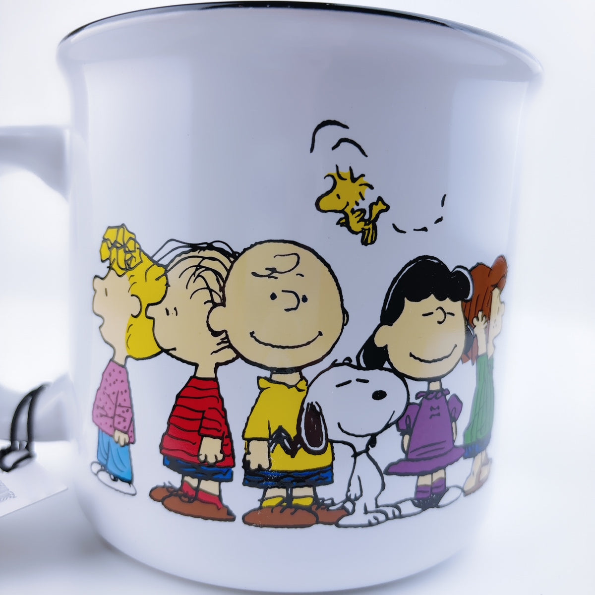 Peanuts Charlie Brown and friends Gathering Together Tossing Snoopy St ...