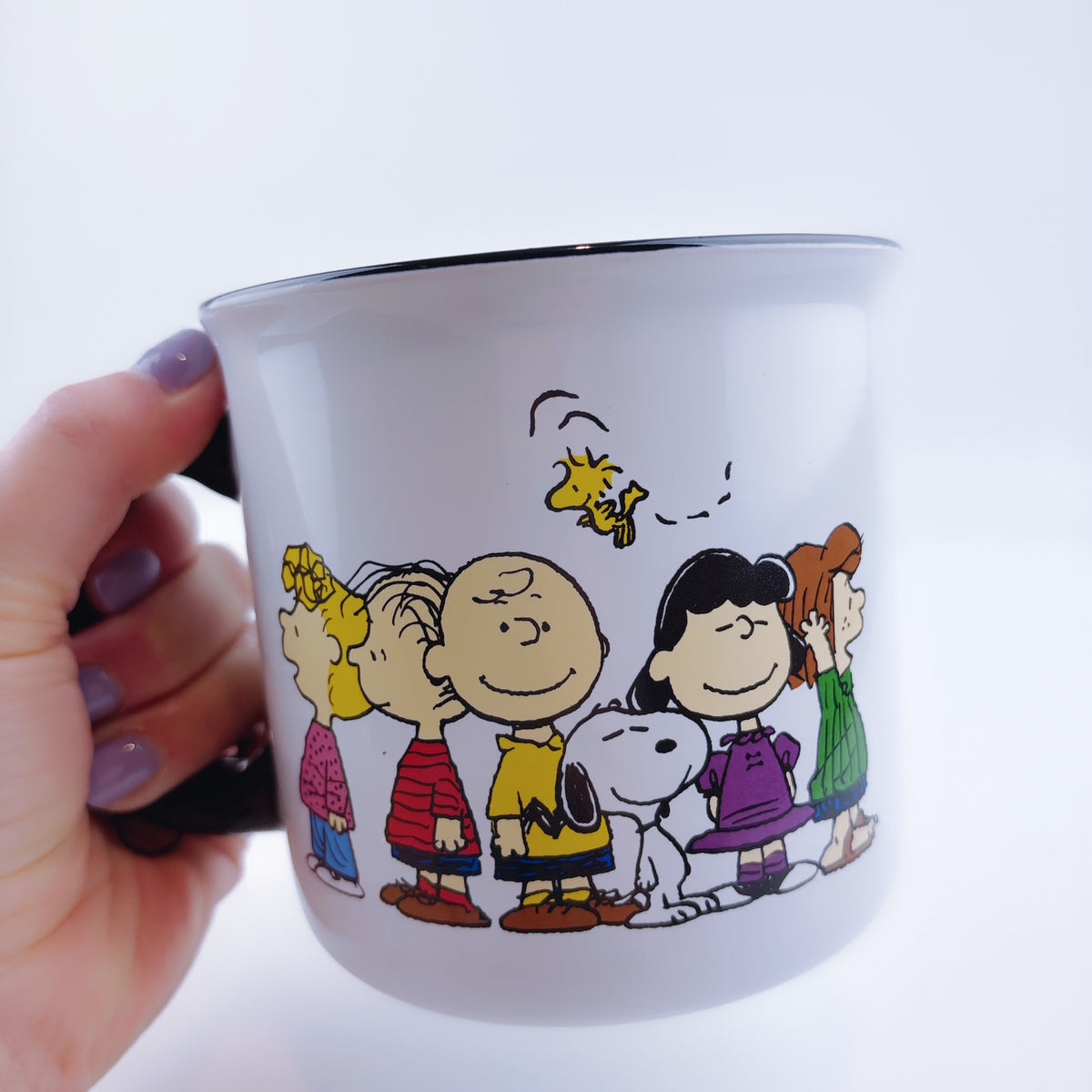 Peanuts Charlie Brown and friends Gathering All Together Stoneware Big ...