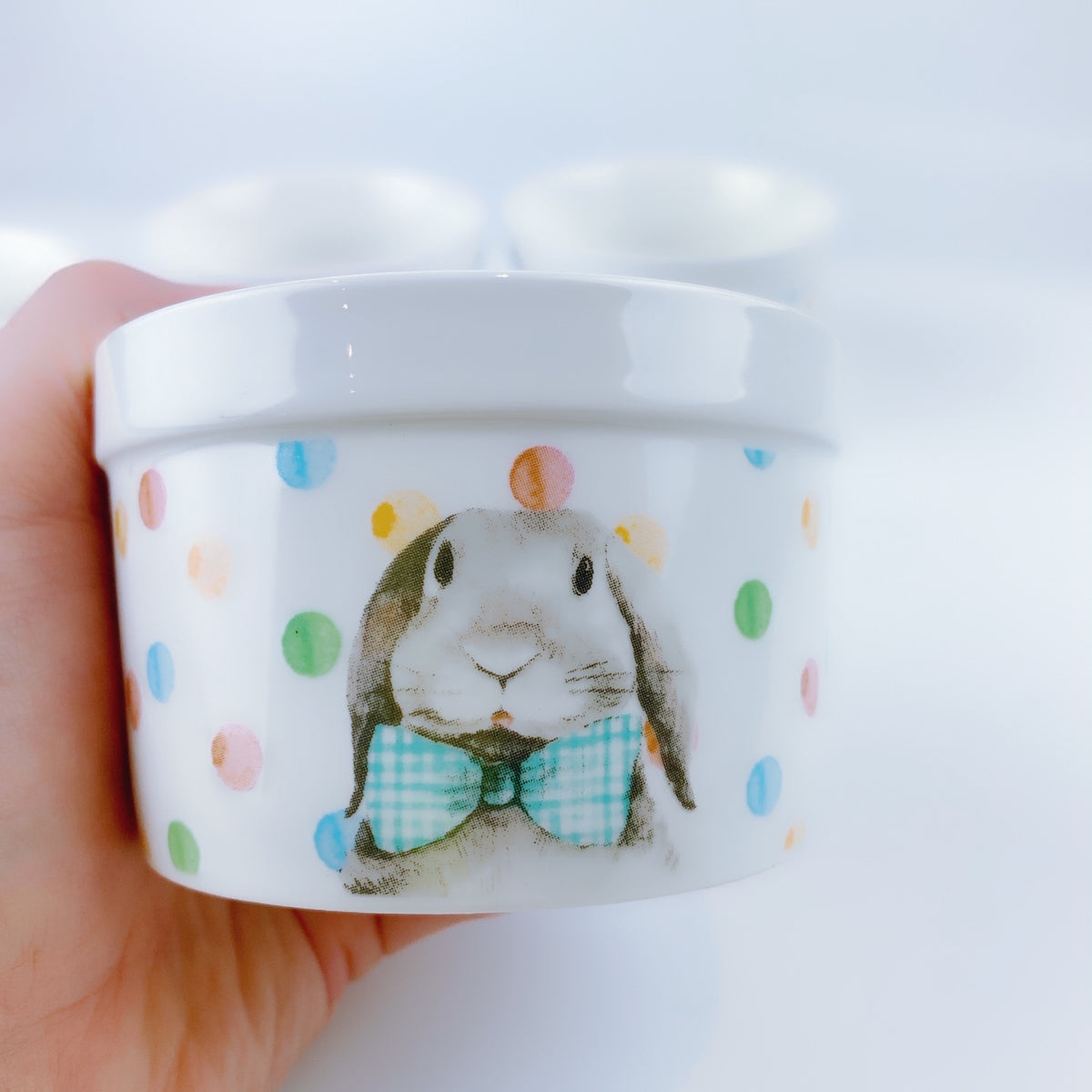 Ciroa Whimsical Spring Bunnies Set of 4 Quality Porcelain Ramekins Bow ...